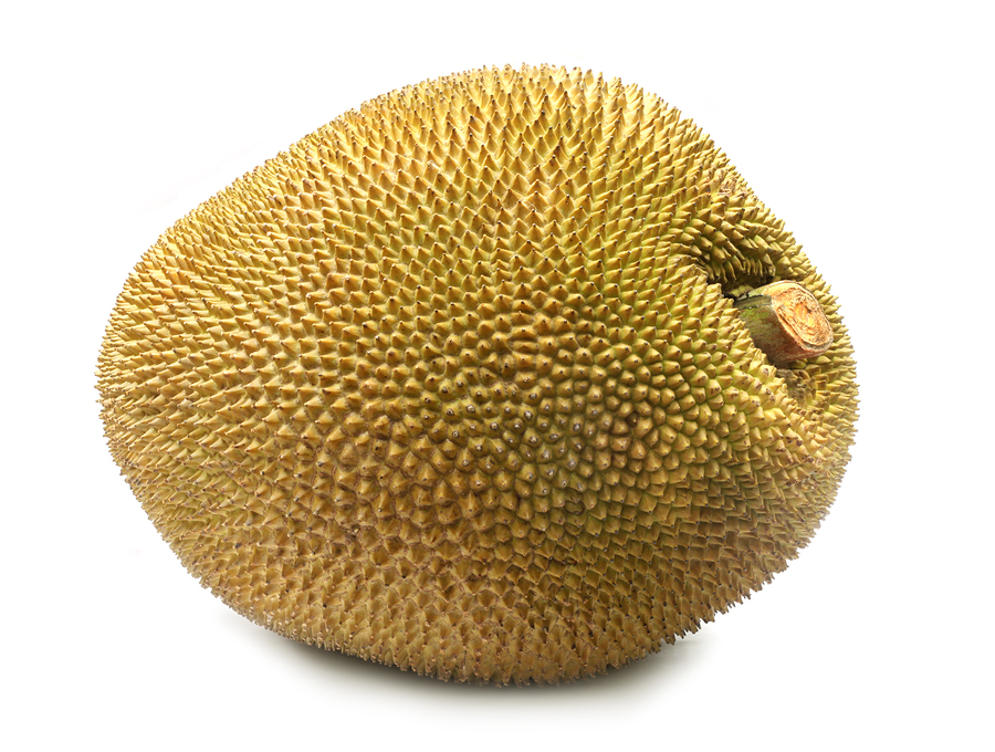 jackfruit-千图网