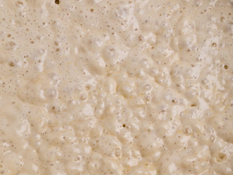 What is Ezekiel Bread and How to Make it at Home - Trim Down Club